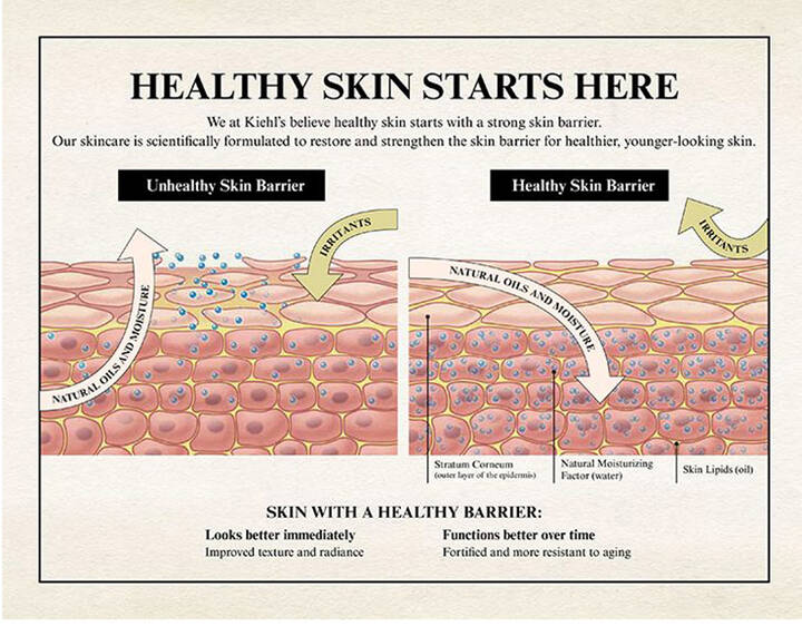 What is the Skin Barrier – Kiehl’s