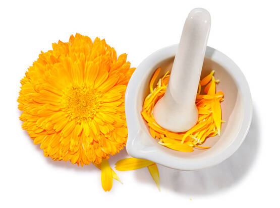 Discover the Multi-Miracle Skin Benefits of Calendula – Kiehl’s